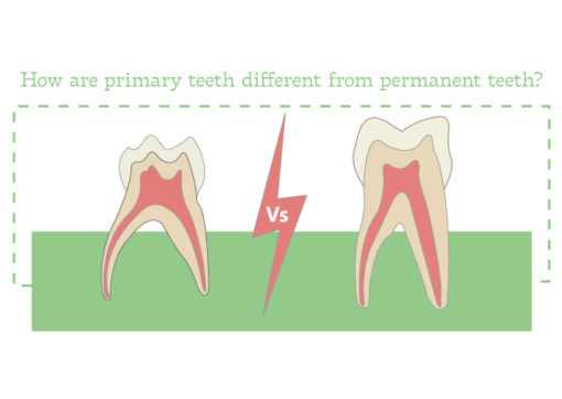 Baby Teeth vs Permanent Teeth: Key Differences Every Parent Should Know ...